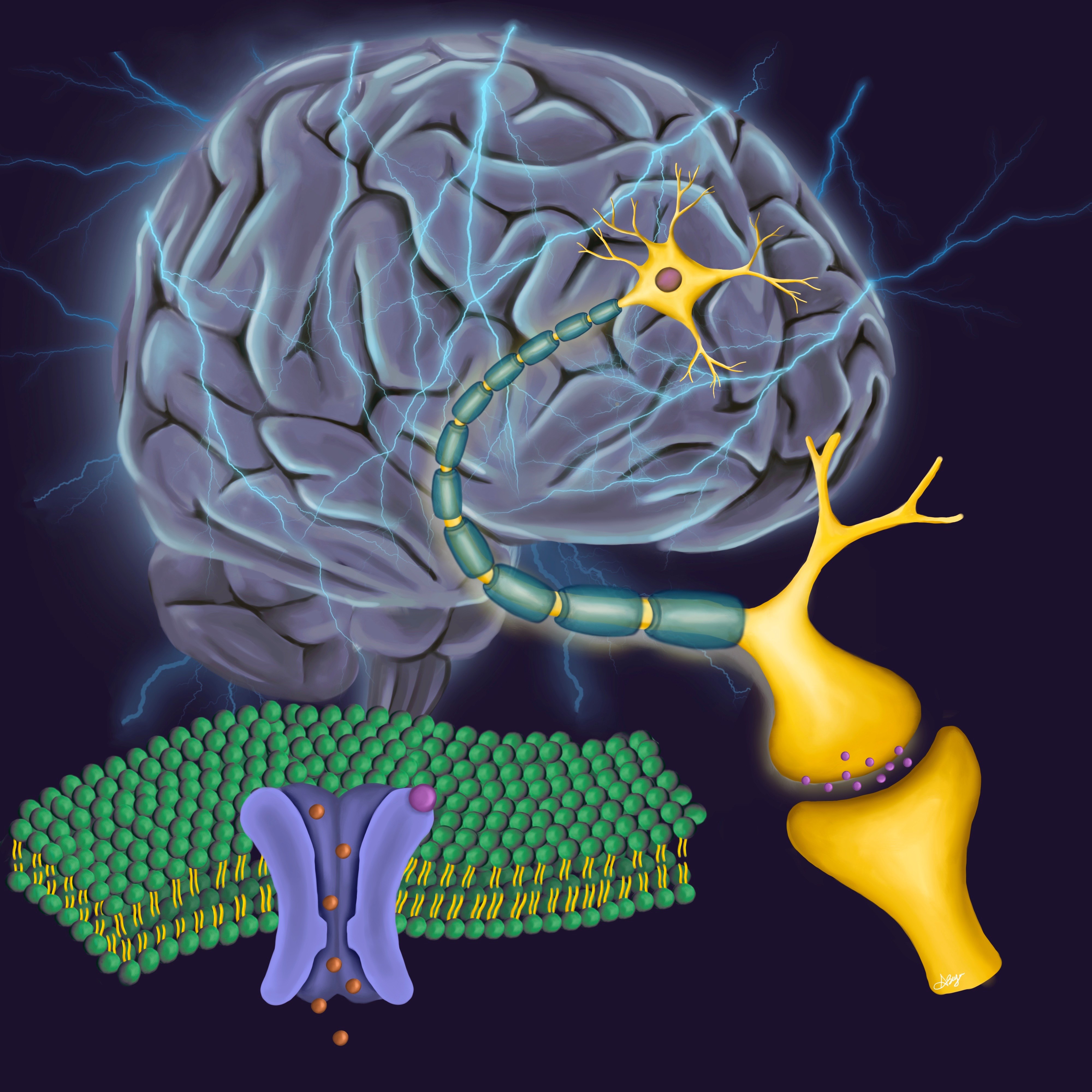 Sobolevsky Lab » Parkinson’s disease, epilepsy, and amyotrophic lateral ...